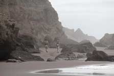 Raoul Island Diaries: Coming to the end of a year on Raoul ...