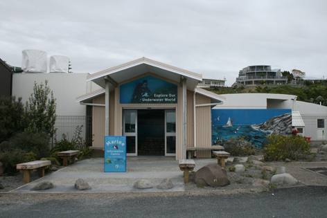 Marine Centre an underwater adventure | Conservation blog
