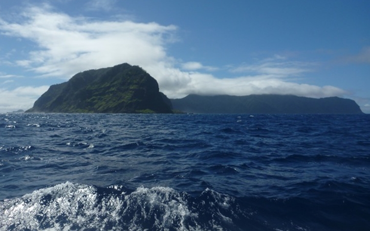 The cruisers of Sunday Island | Conservation blog