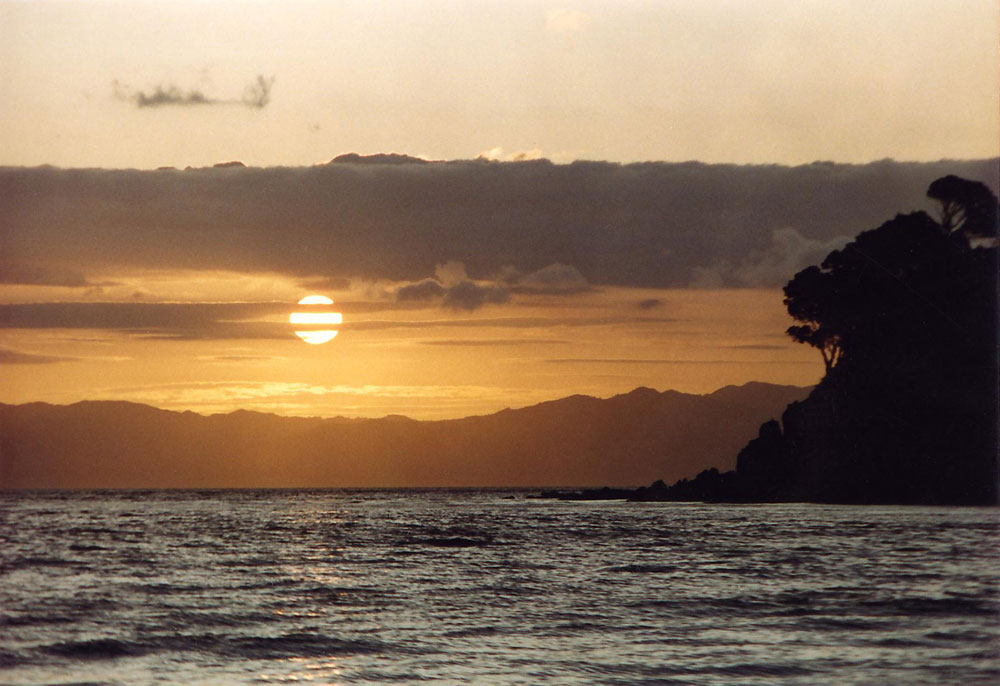 Photo of the week: Sunset on Great Mercury Island | Conservation blog