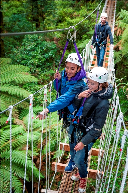 Rotorua Canopy Tours – one year on… | Conservation blog