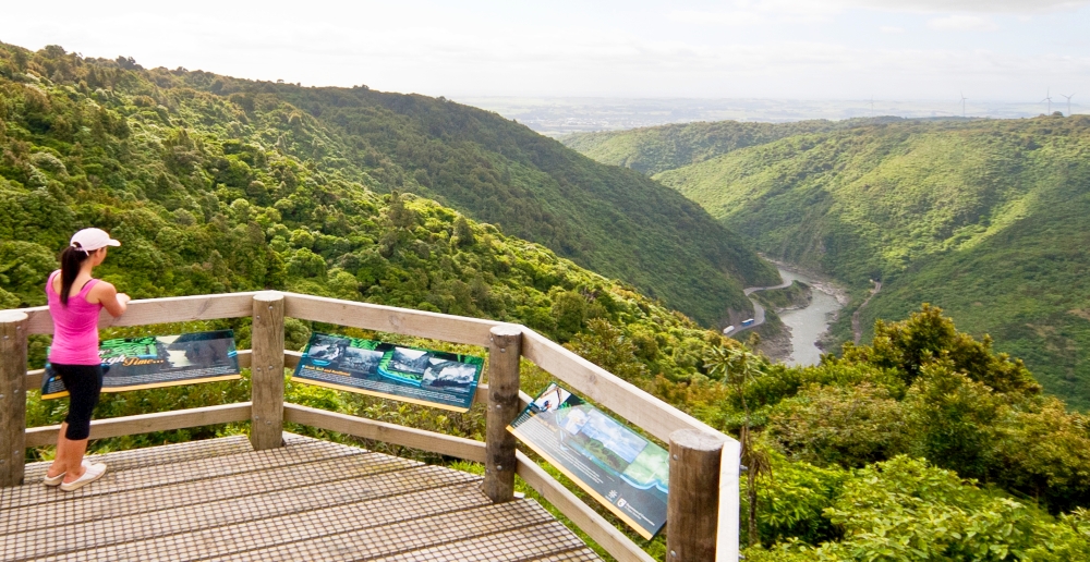 Photo of the week: Manawatu Gorge | Conservation blog