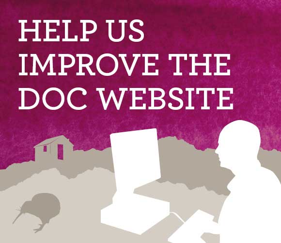 Help make the DOC website easier to use | Conservation blog