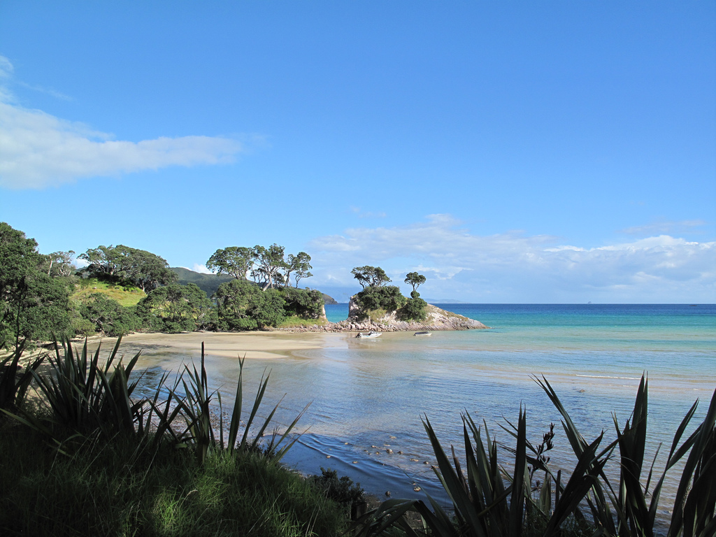 Photo of the week: Aotea/Great Barrier Island | Conservation blog