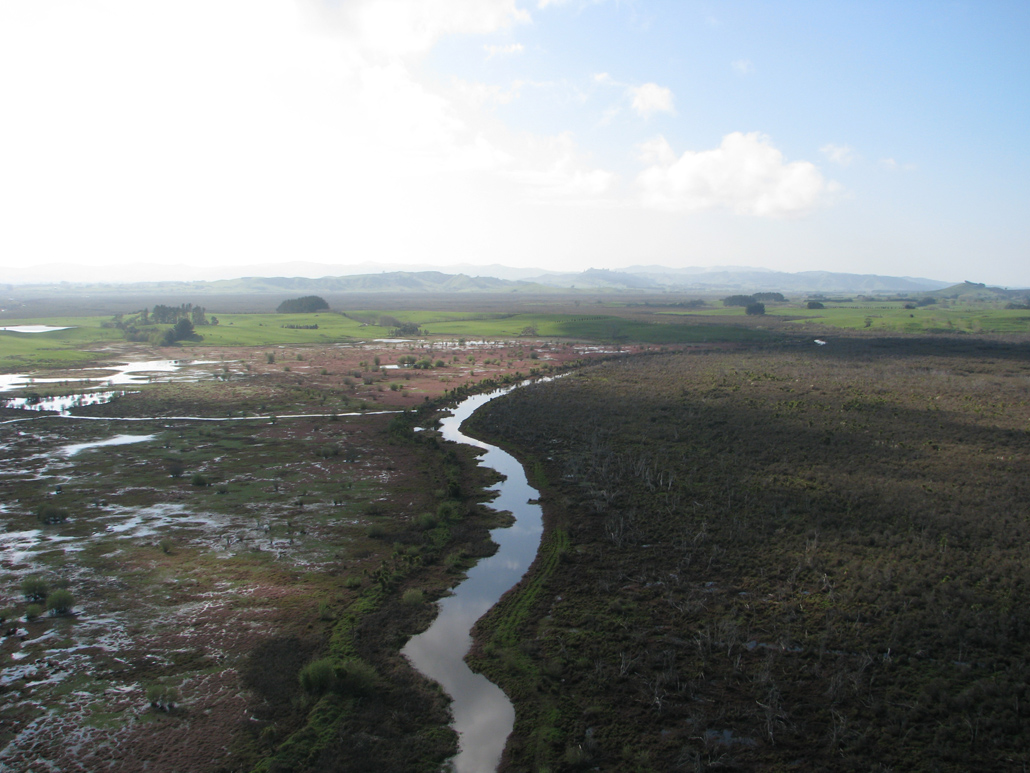 Celebrating World Wetlands Day | Conservation blog