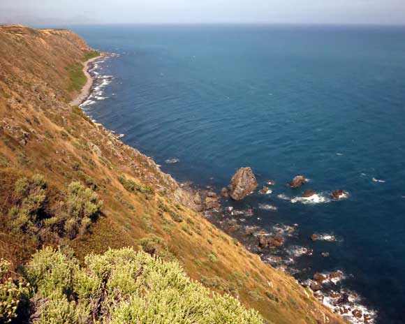 Visiting Mana Island | Conservation blog