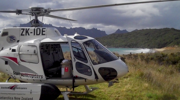 Codfish Island – a ‘land before time’ | Conservation blog