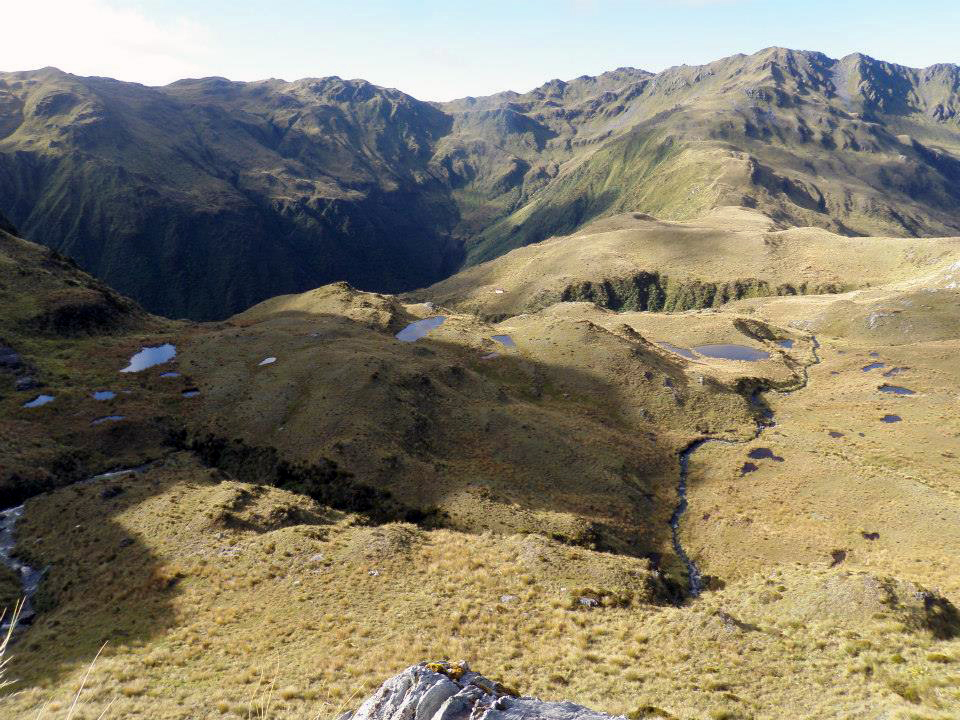 Lake Morgan Hut spruce-up | Conservation blog