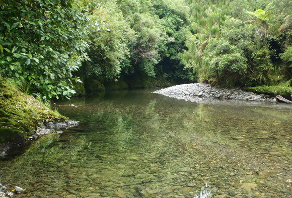 Bombing the Ohau | Conservation blog