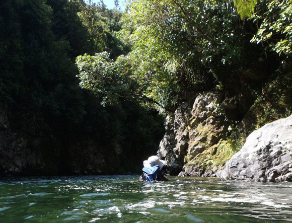 Bombing the Ohau | Conservation blog