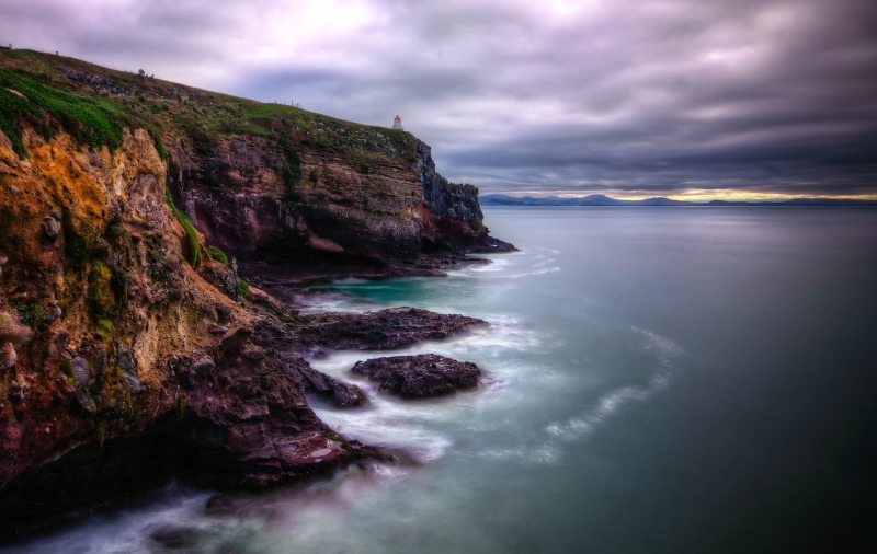 Photo of the week: Taiaroa Head/Pukekura | Conservation blog