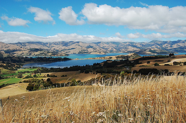 Photo of the week: Akaroa Marine Reserve | Conservation blog