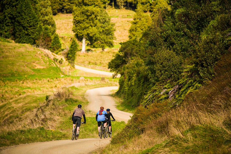 Pakihi Track: A magnificent wilderness ride | Conservation blog