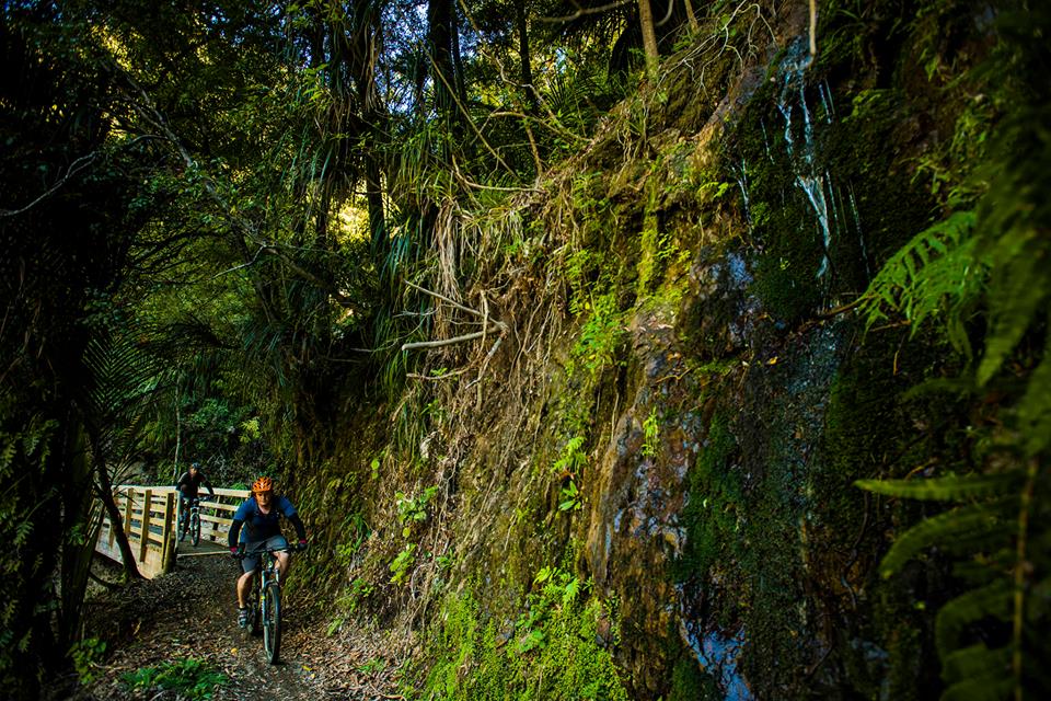 Pakihi Track: A magnificent wilderness ride | Conservation blog