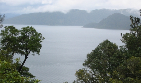 Army of volunteers in Te Urewera | Conservation blog