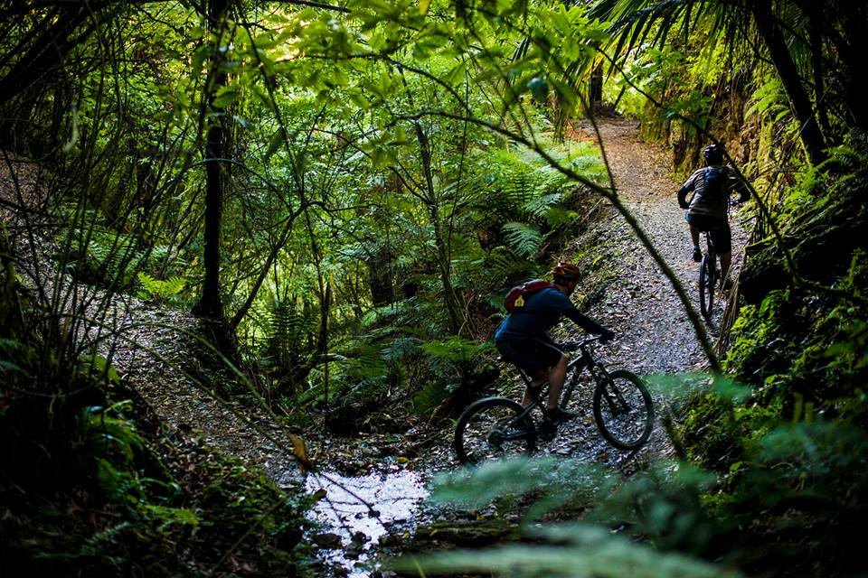 Pakihi Track: A magnificent wilderness ride | Conservation blog