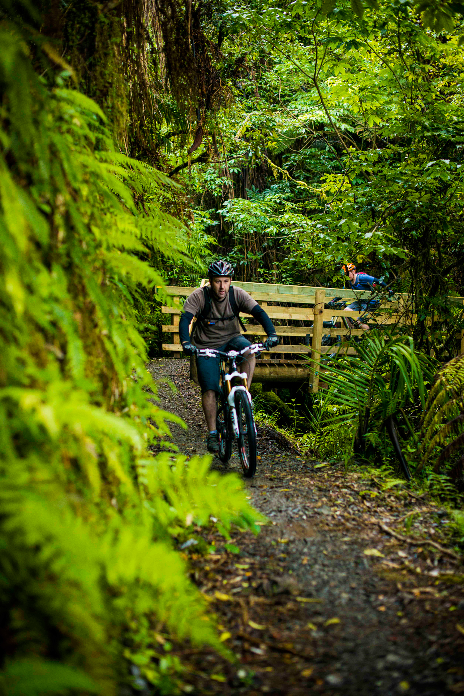 Pakihi Track: A magnificent wilderness ride | Conservation blog