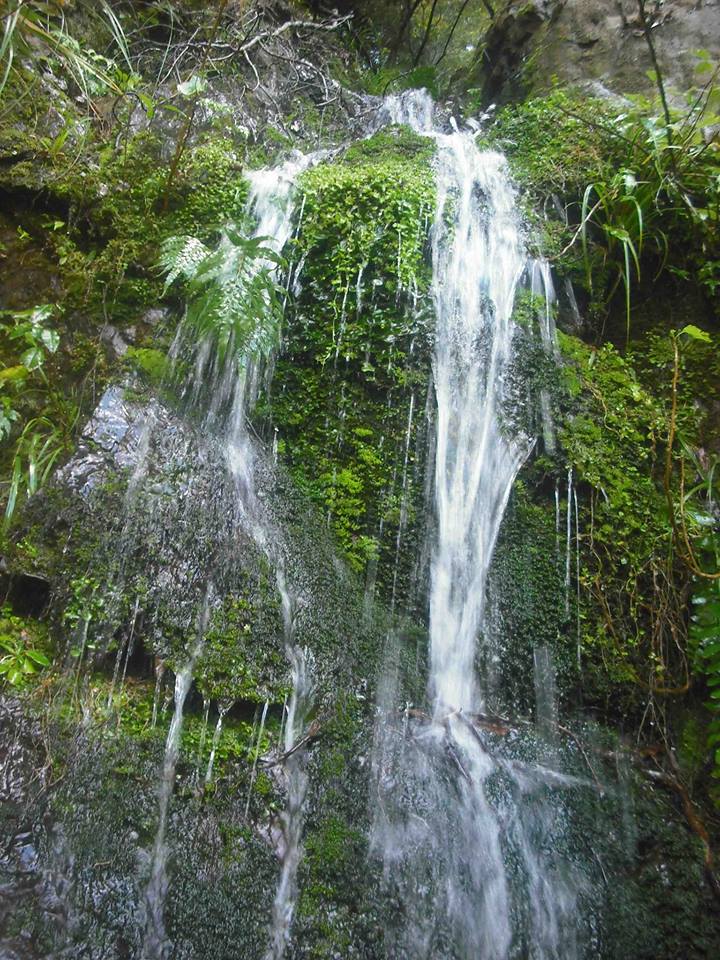 Pakihi Track: A magnificent wilderness ride | Conservation blog