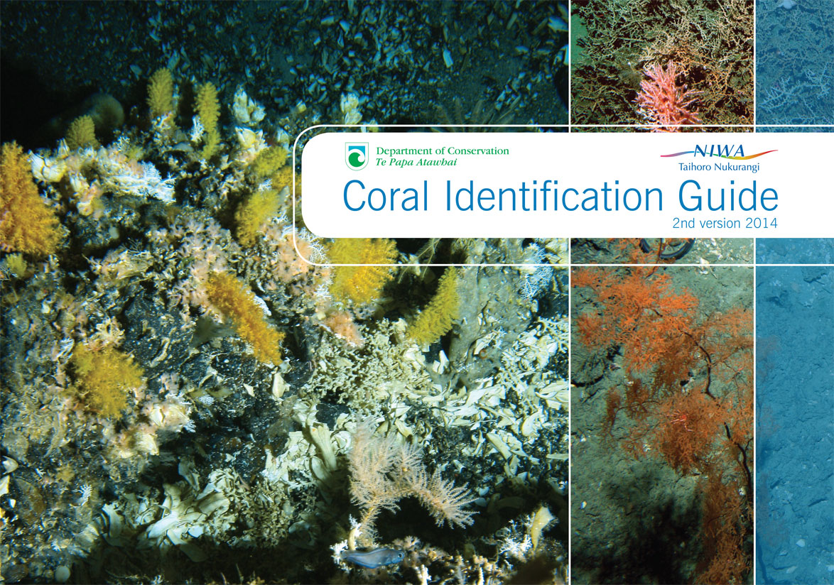 coral-identification-cover | Conservation blog