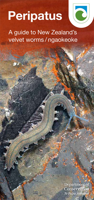 Peripatus pamphlet | Conservation blog