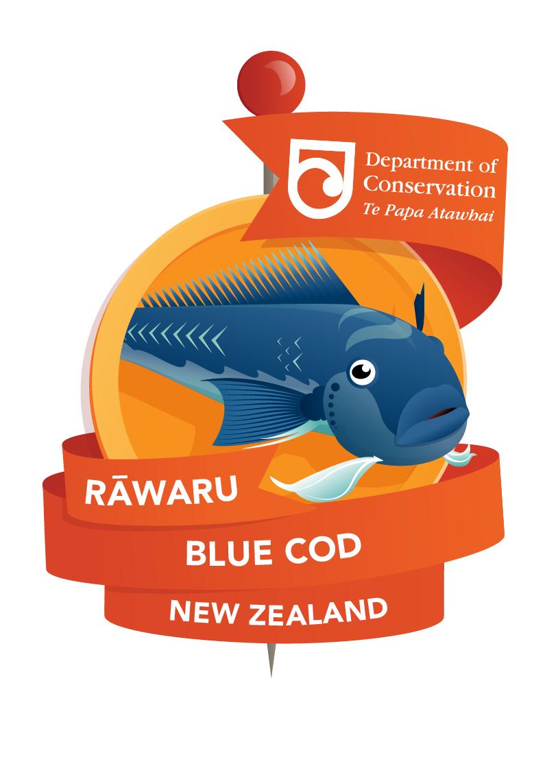 Rawaru – Blue Cod | Conservation blog