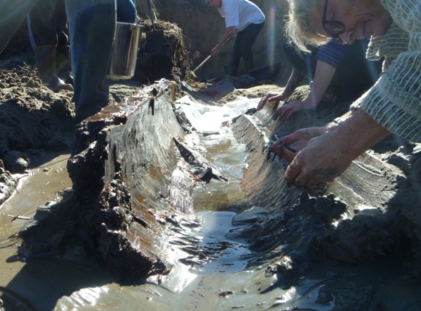 Papanui Inlet waka recovery | Conservation blog