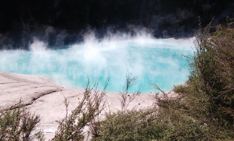 Visit to the Waimangu Scenic Reserve | Conservation blog