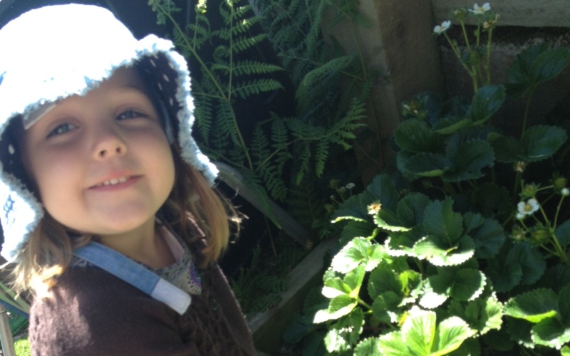 Swapping ‘screen time’ for ‘green time’ | Conservation blog