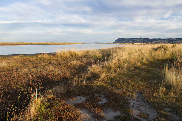 Photo of the week: Wairau Lagoons | Conservation blog
