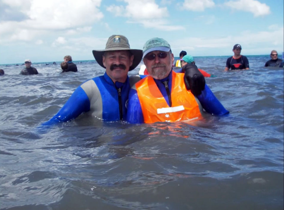 A salute to Kim Forbes | Conservation blog