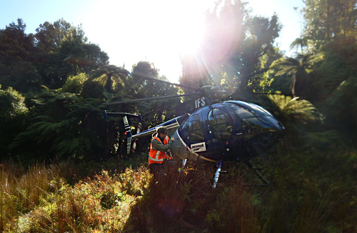 Helicopter dropoff | Conservation blog
