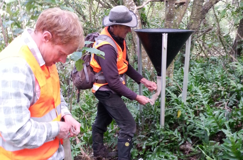 seed-collection-1 | Conservation blog