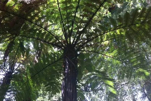 A Taupo short walk – things to do with kids on summer holiday ...