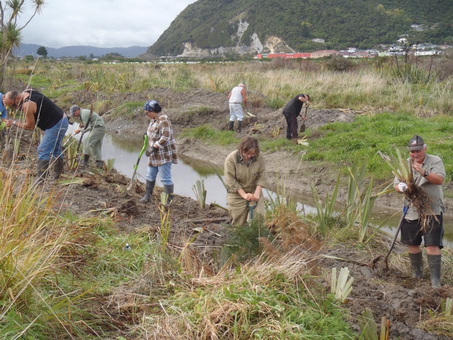 Restoring Wetlands on Cobden Island | Conservation blog