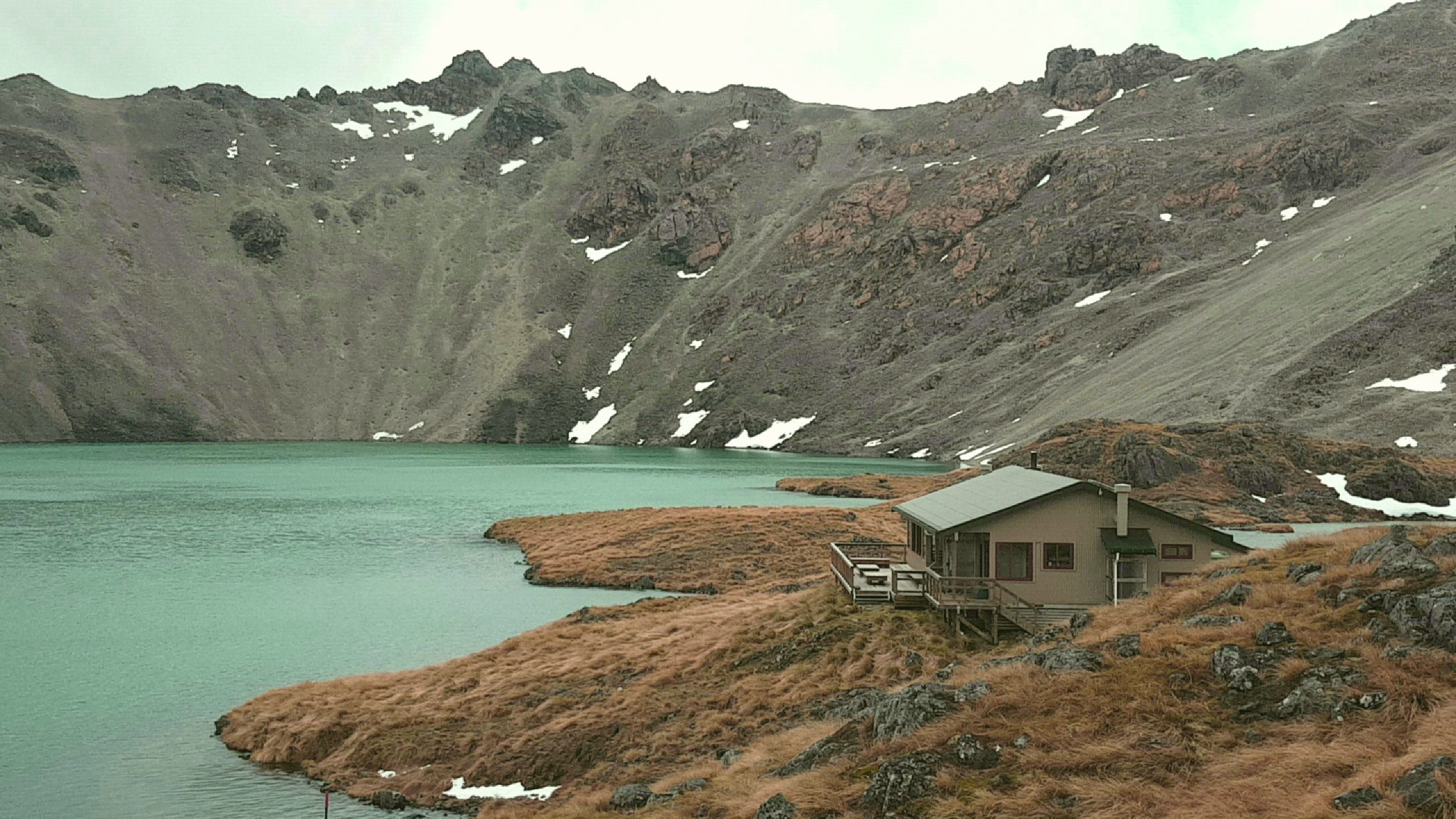 D-G Direct: An update from Lou Sanson | Conservation blog