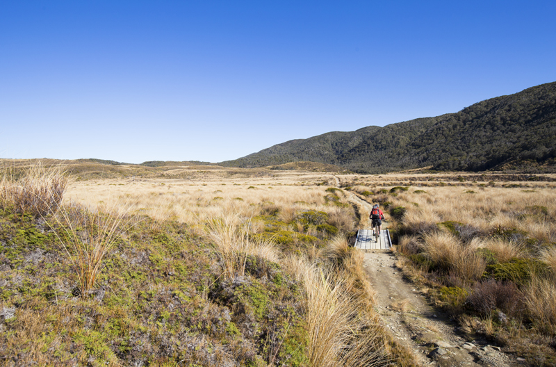 Photo of the week: Mountain biking on the Heaphy Track | Conservation blog