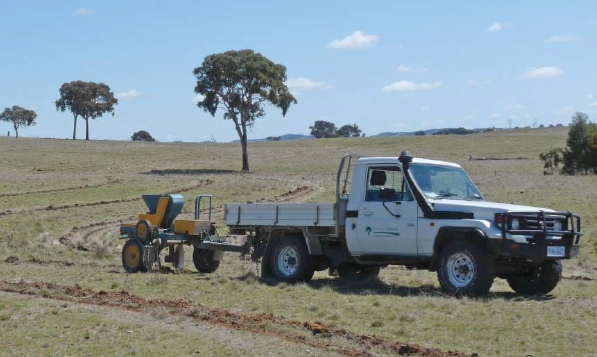 Growing native trees with machines | Conservation blog