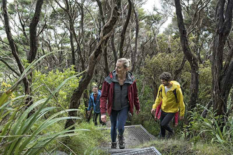 Training tips for taking on a Great Walk | Conservation blog