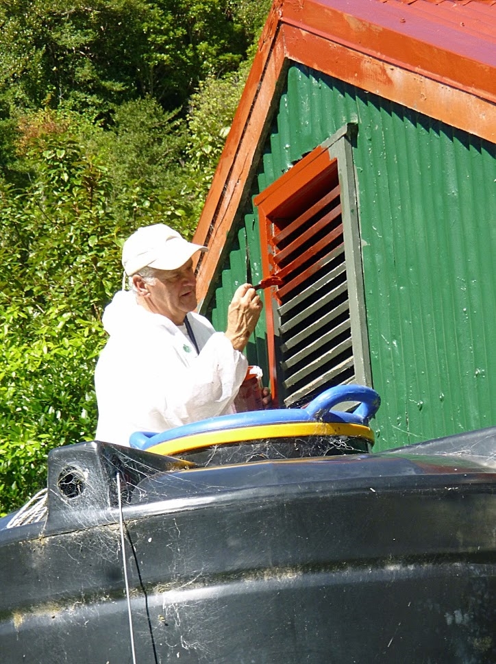 fiddly | Conservation blog