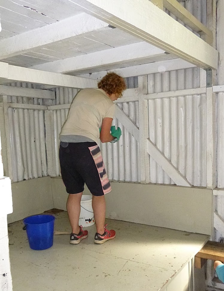 Hut makeover at Parawai Lodge | Conservation blog