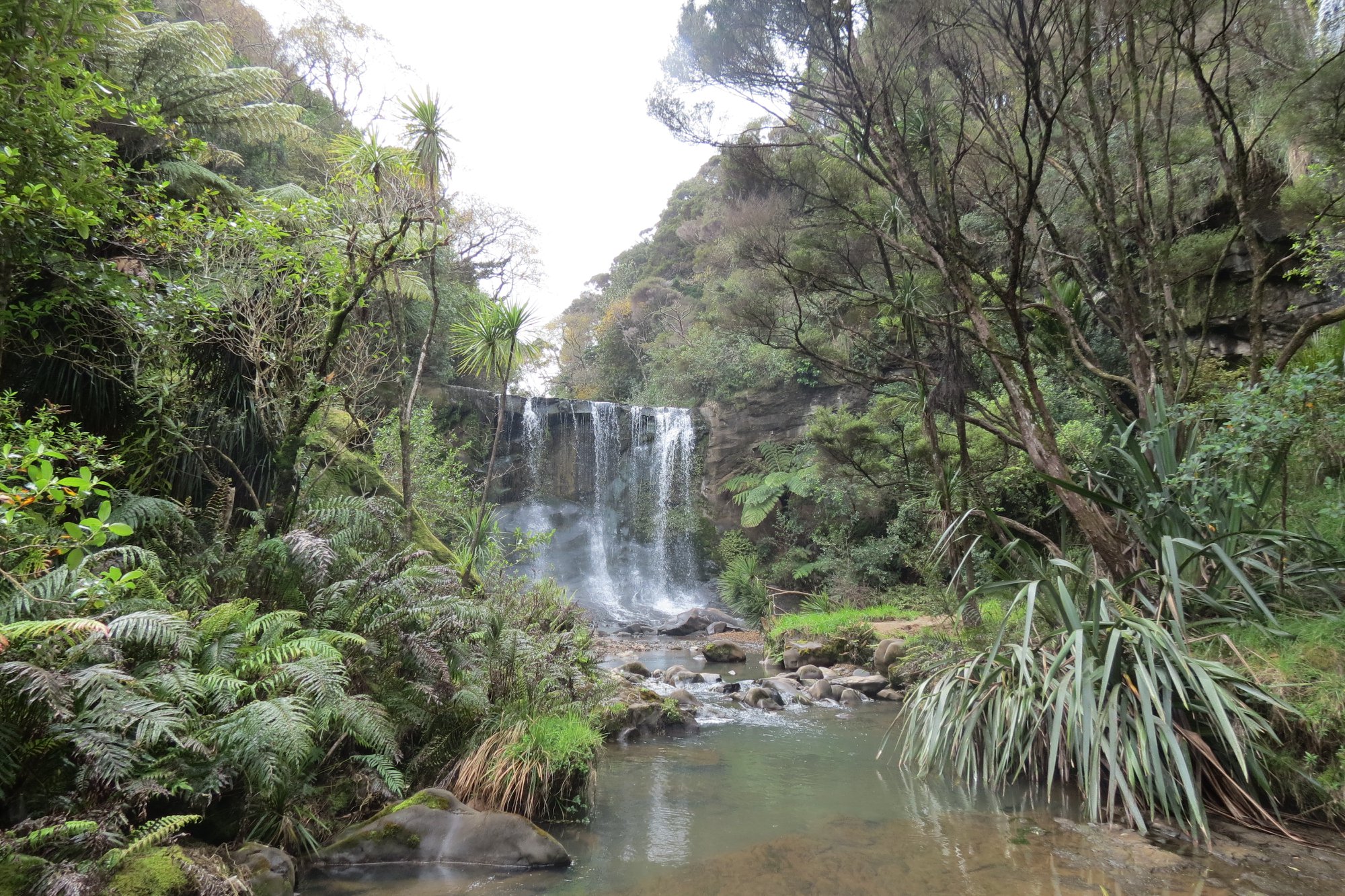 New Zealand tracks to explore over the Easter Holidays | Conservation blog
