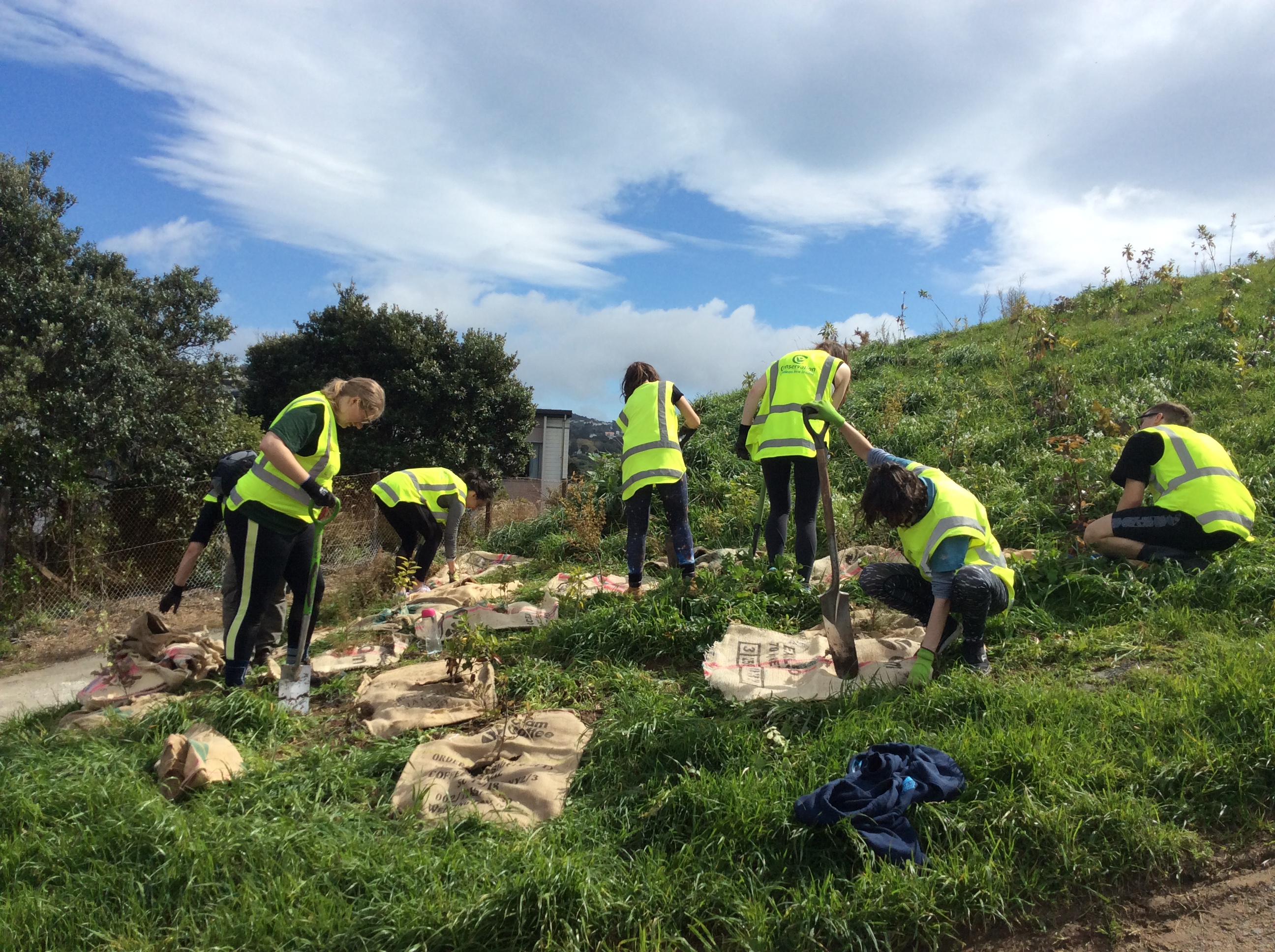 Easy ways to get involved in conservation moving forward | Conservation ...