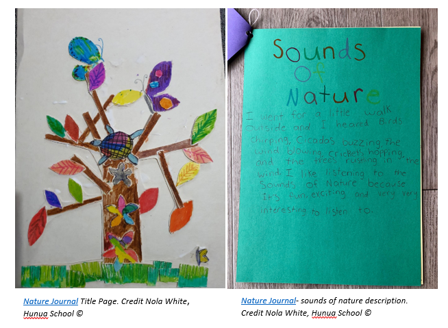 Learning from home in nature – sharing some good news stories ...