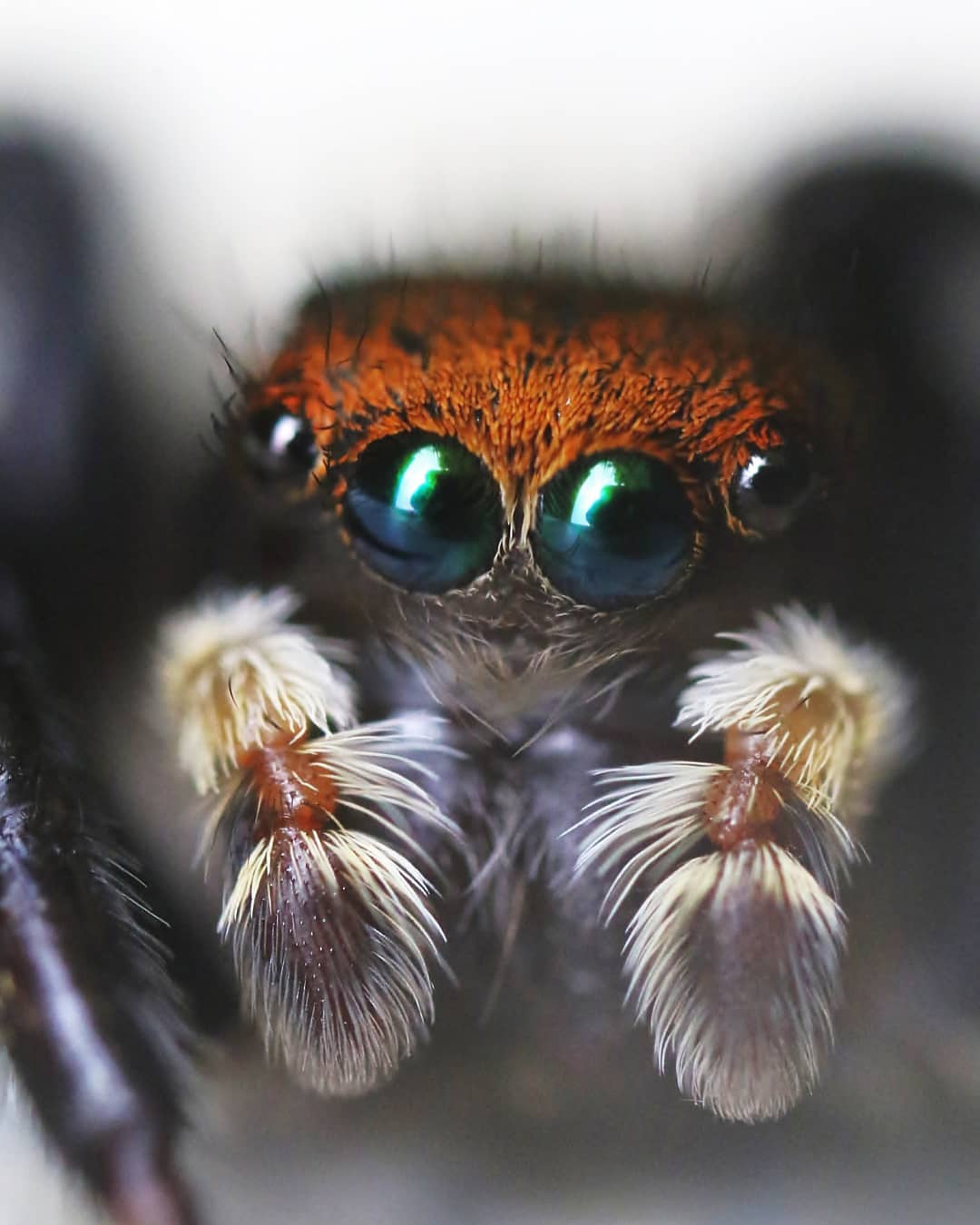 Conservation Week winners: #NatureThroughNewEyes | Conservation blog
