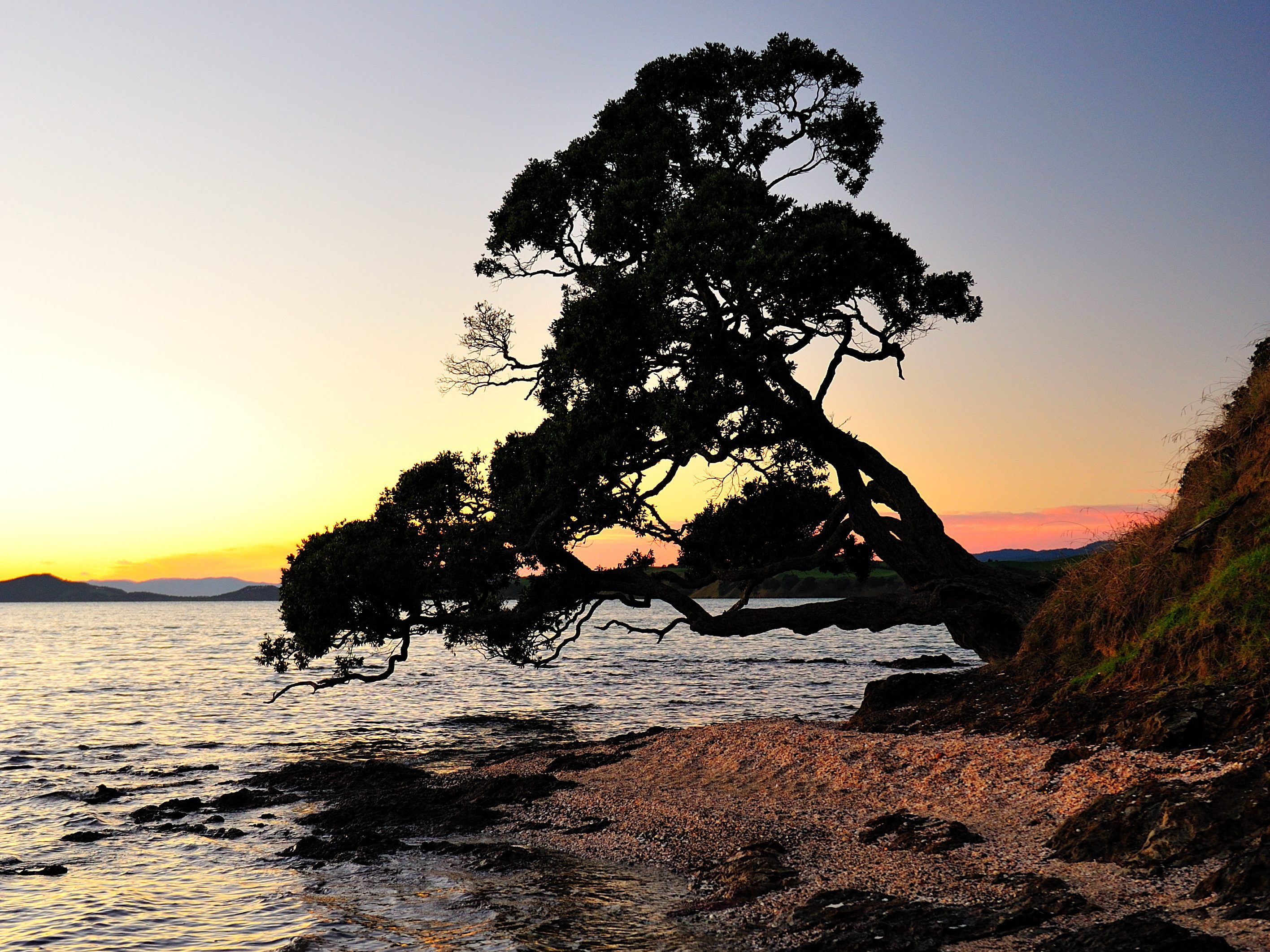 Maraetai. | Conservation blog