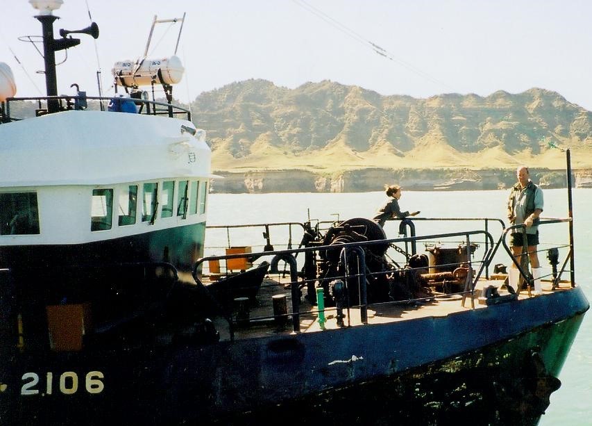 Wildfire: Dion Patterson, celebrating 30 years in conservation ...