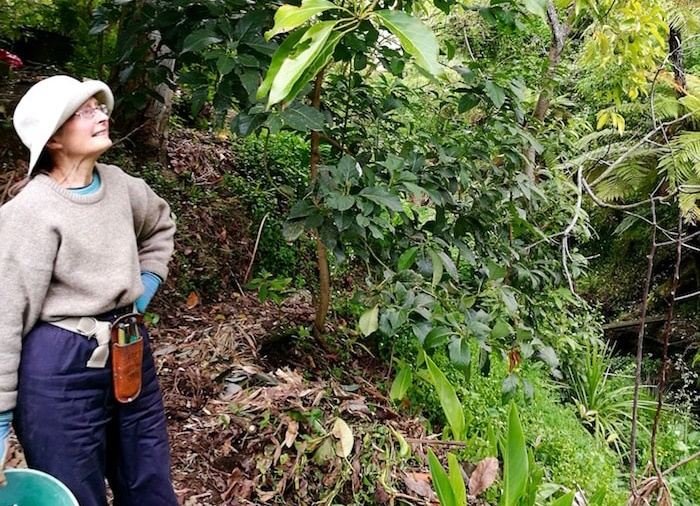 Conservation Week Hero – Maxine Fraser: To grow a tree | Conservation blog