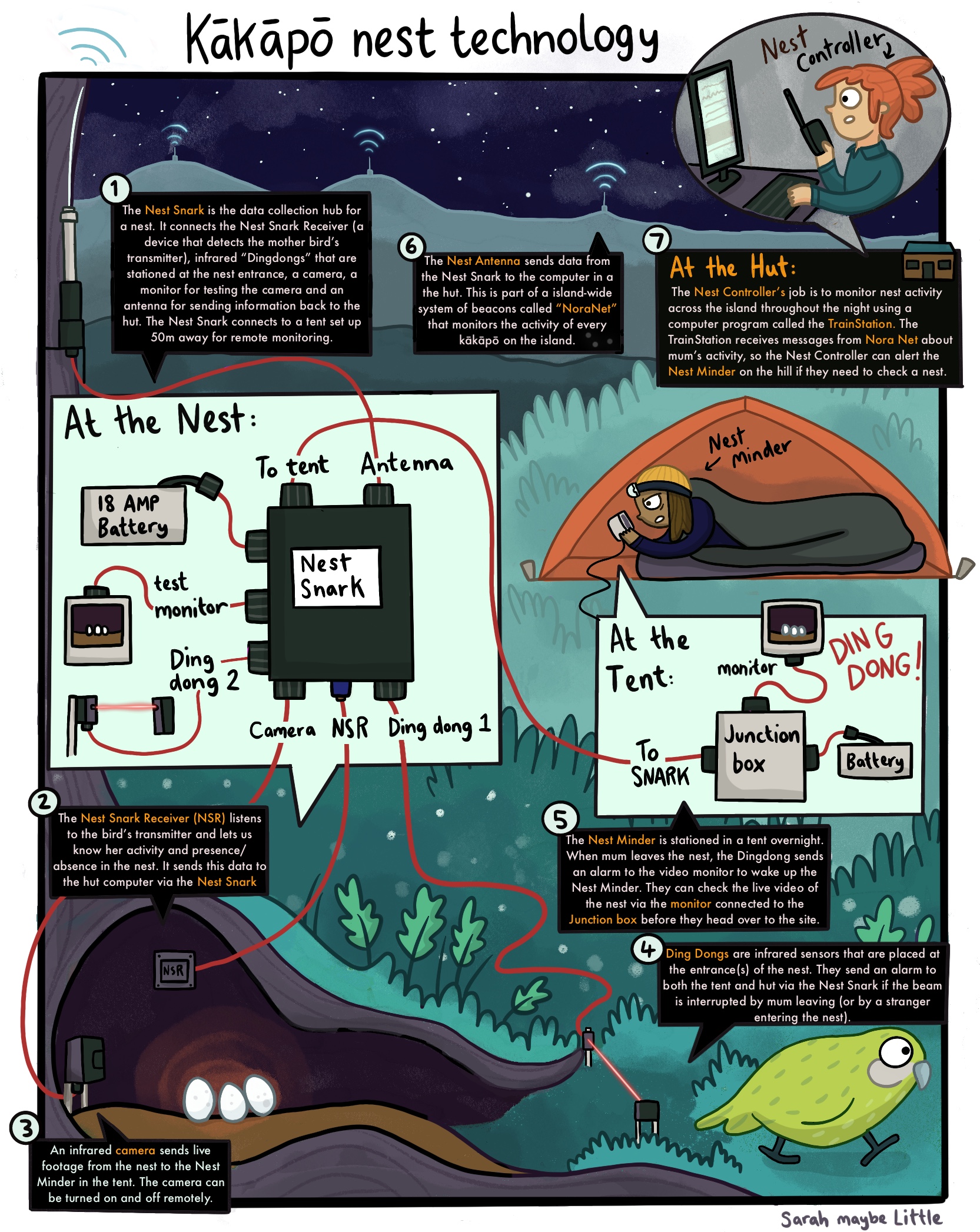 Nest_tech_advocacy-sarahlittle | Conservation blog