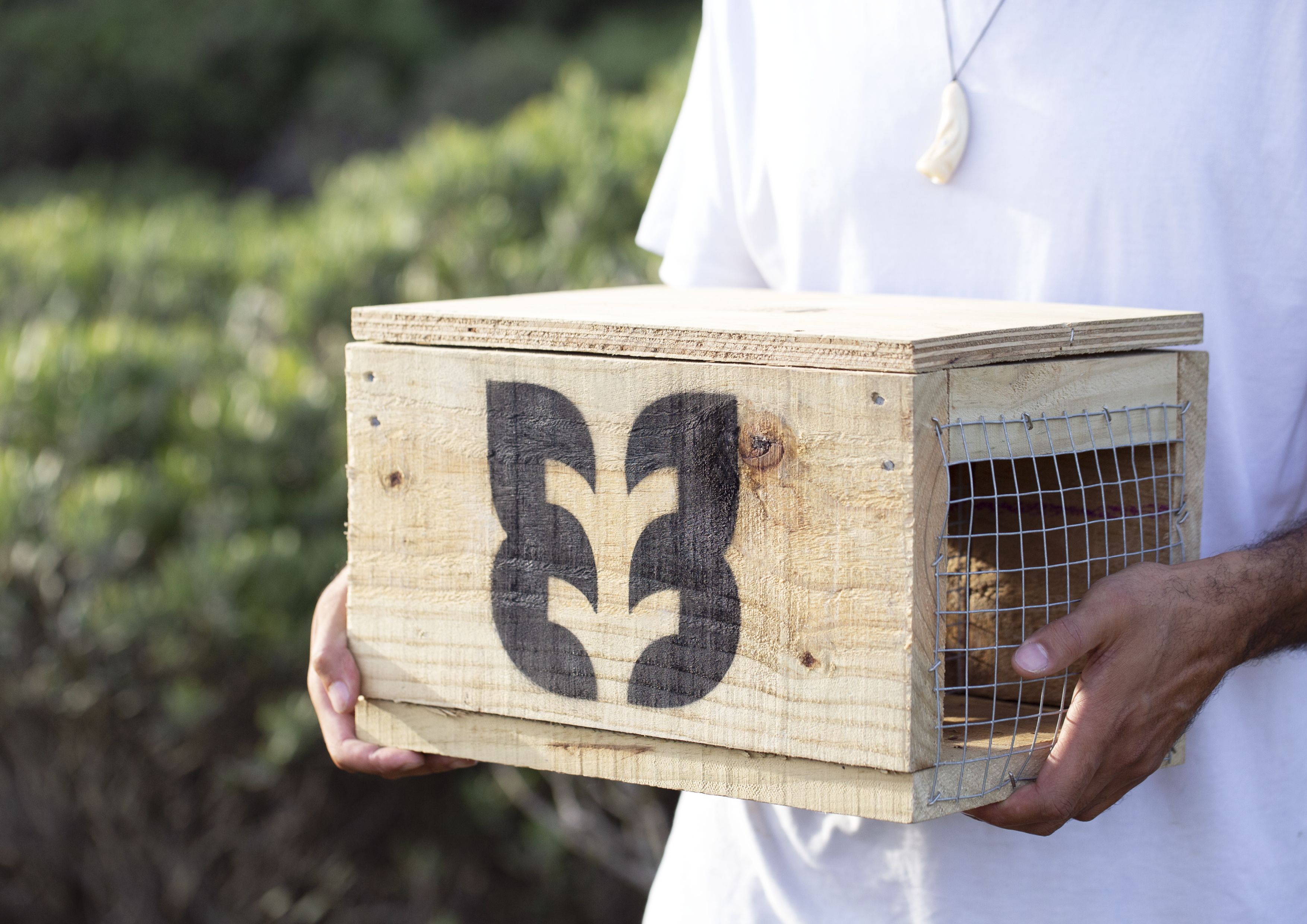 A Must-Read for Humane Trapping | Conservation blog