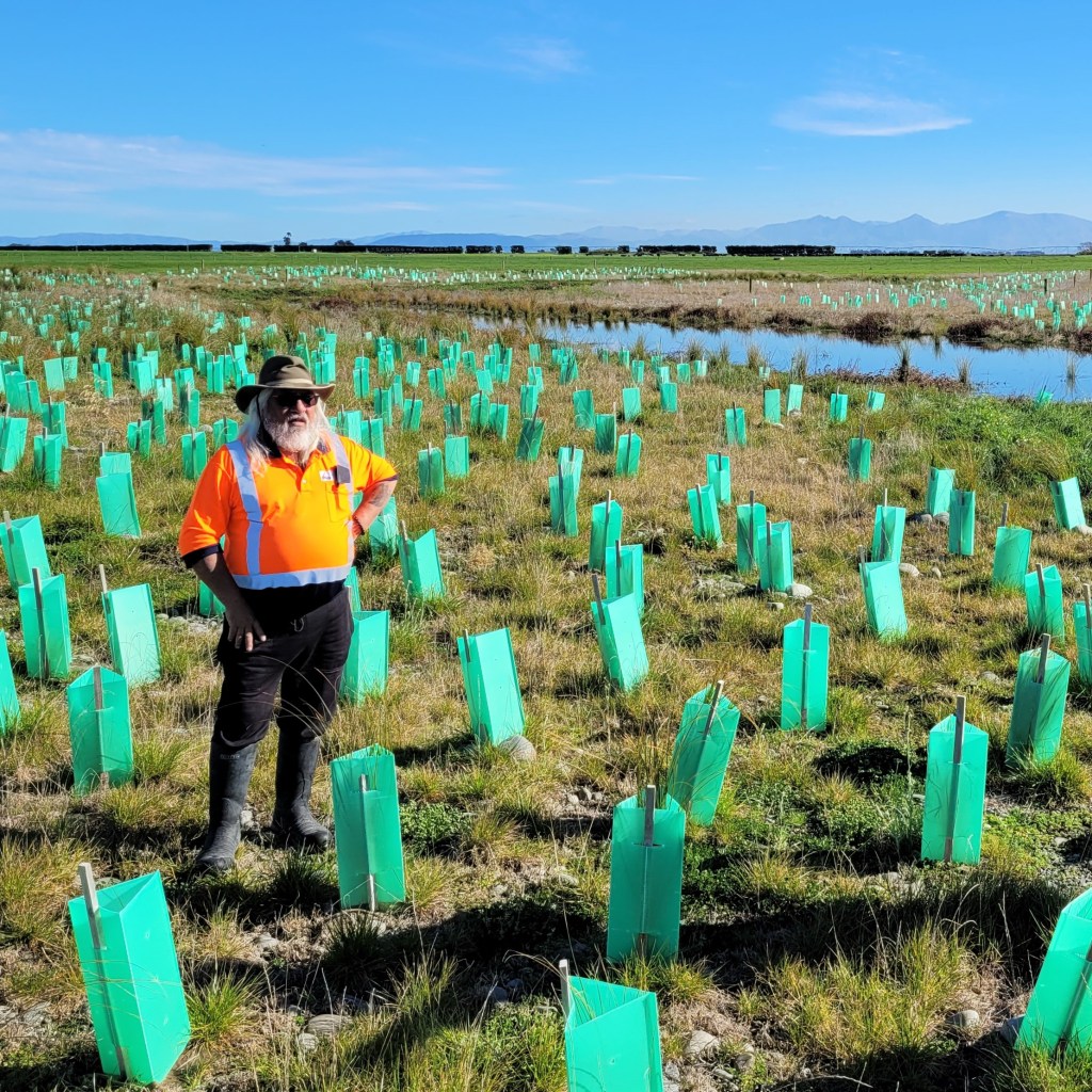Rakitata River revival: restoring a river’s natural character and mauri ...